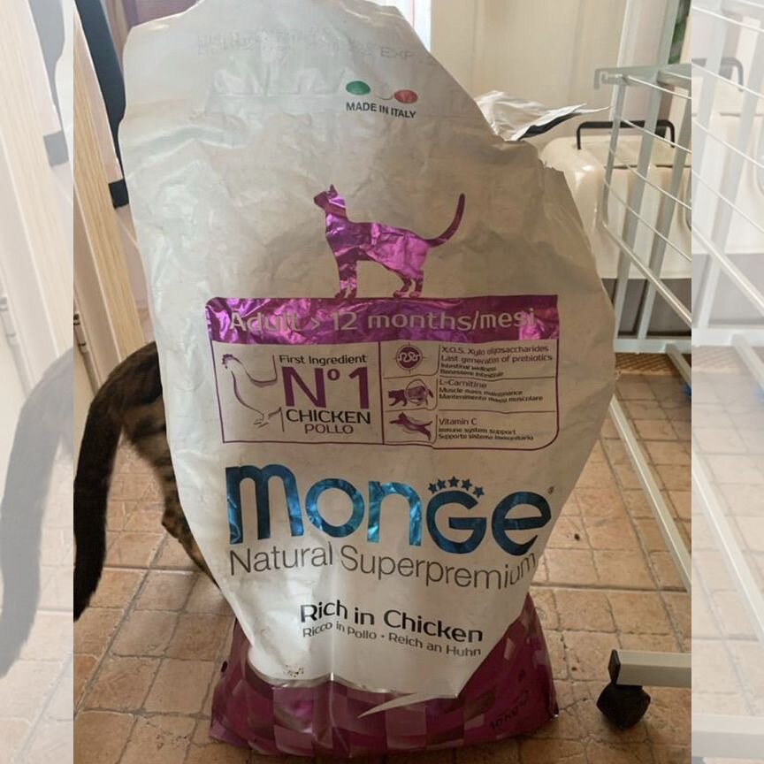 Корм для кошек остатки