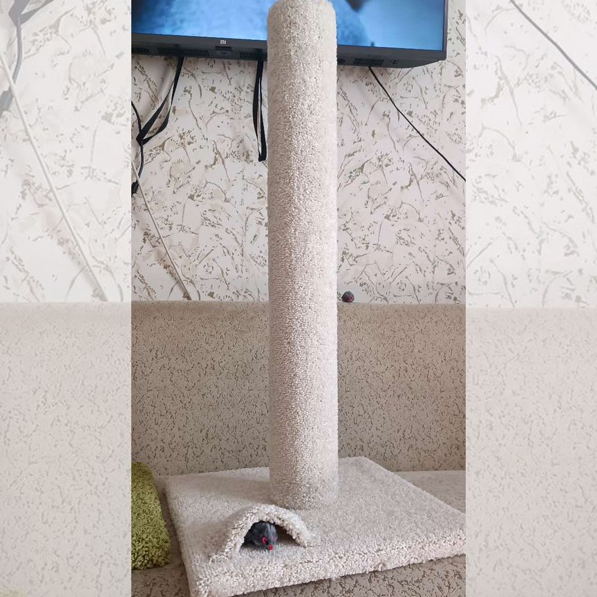 Когтеточка белая