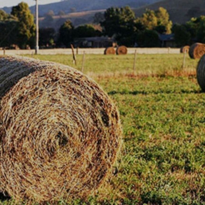 Сено в рулонах