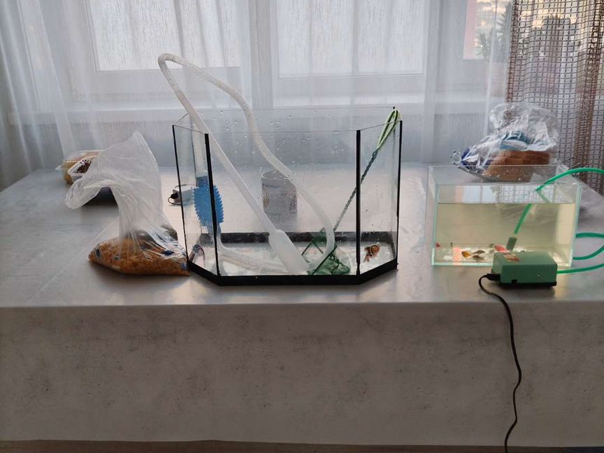 Всё для рыбок и рыбки