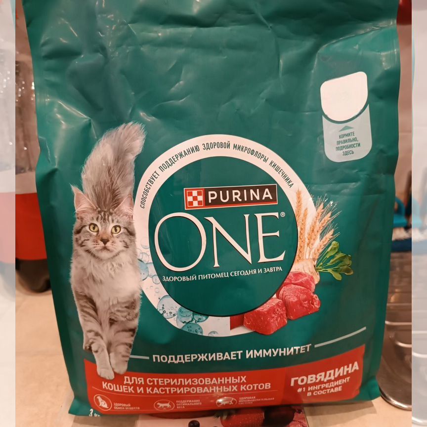 Сухой корм для кошек