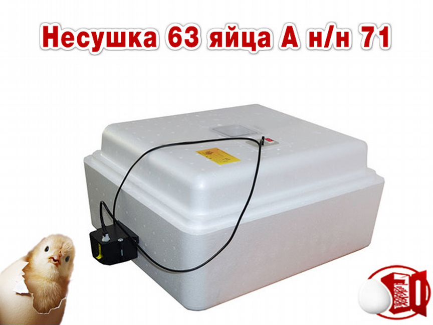 Инкубатор