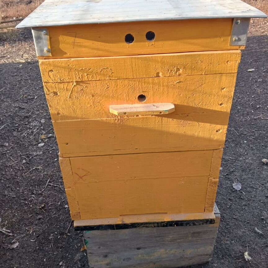 Ульи для пчел