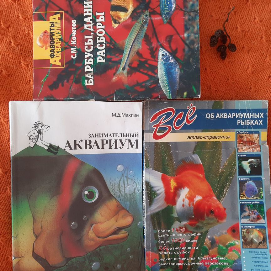 Аквариум, шишки ольхи, книги