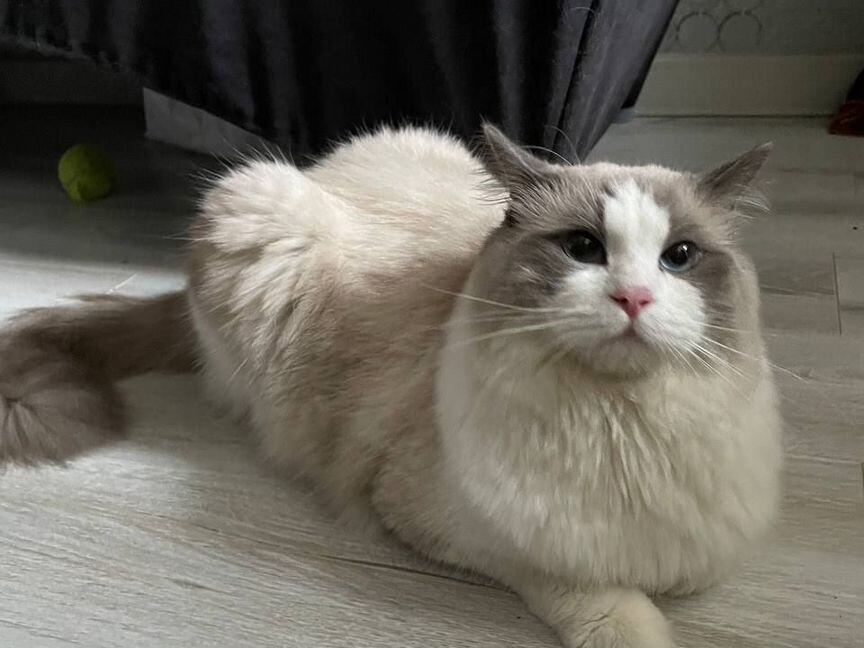 Вязка