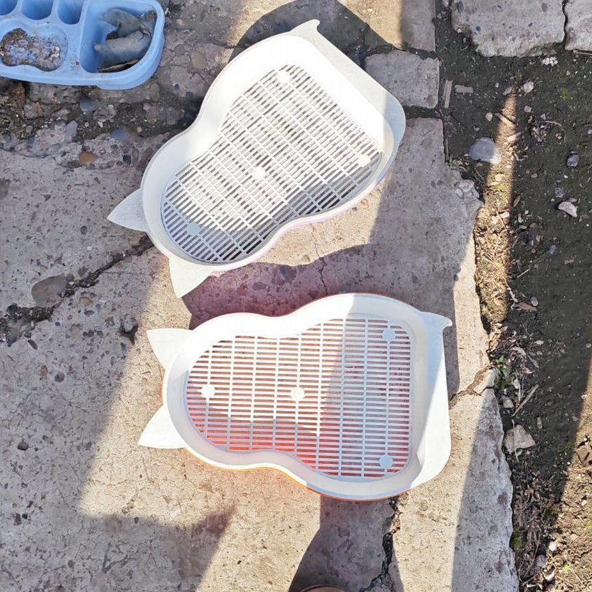 Кошачий лоток