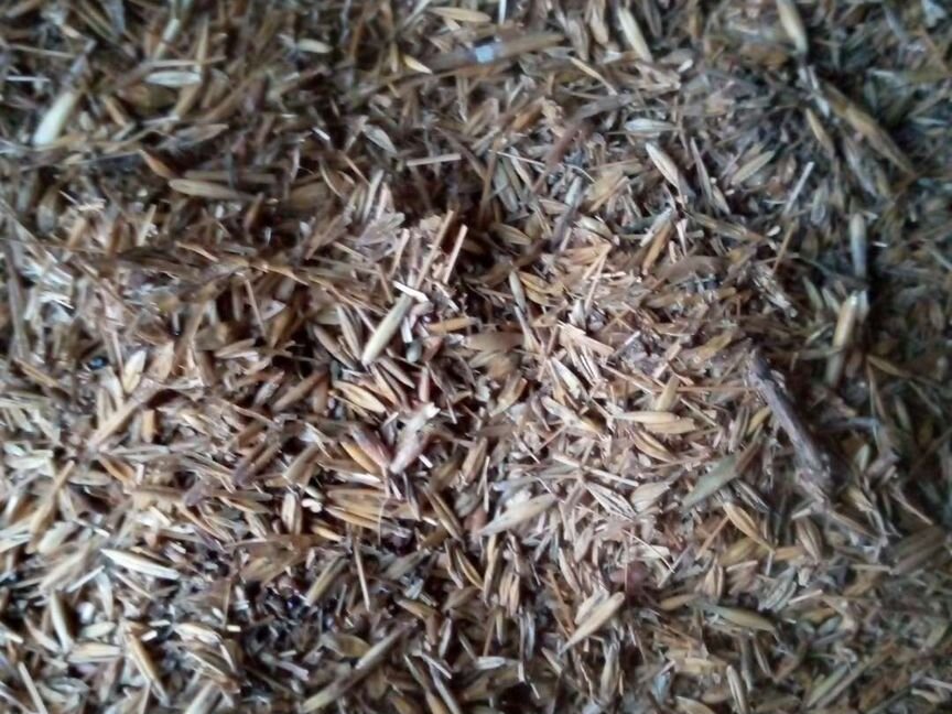 Зерноотходы