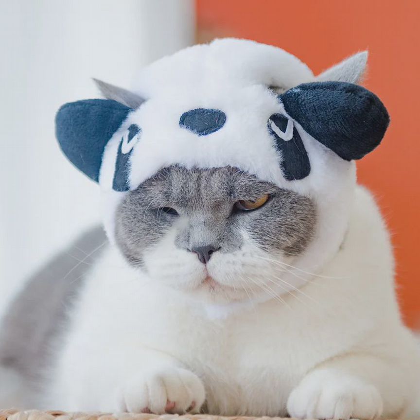 Шапка для домашних питомцев разных размеров, дизайнерский головной убор из мягкого хлопка для собак