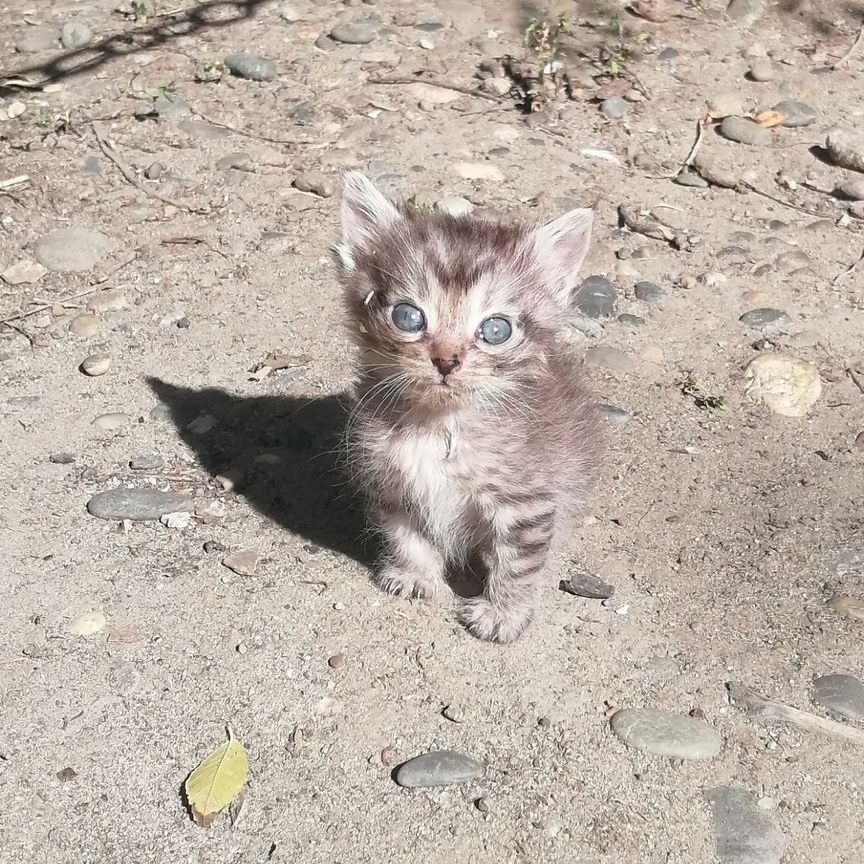 Малышу нужен дом