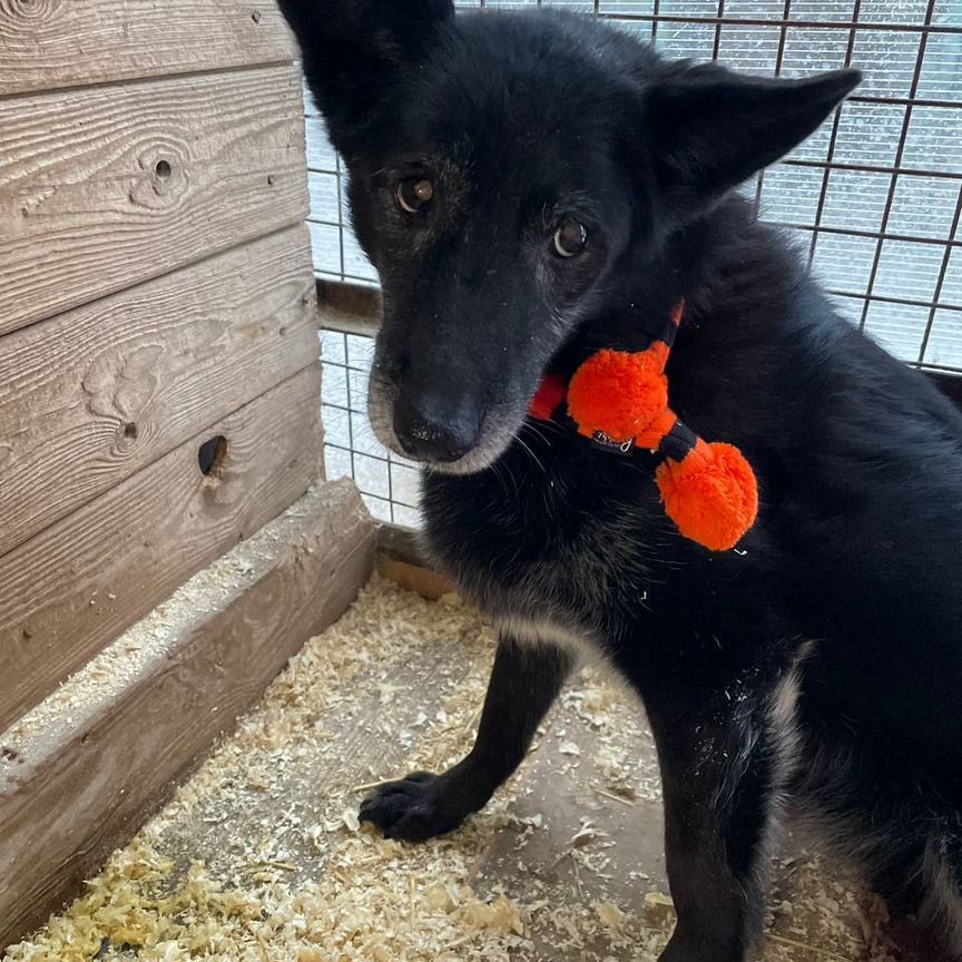 Все свои лучшие годы Куба провела за решеткой