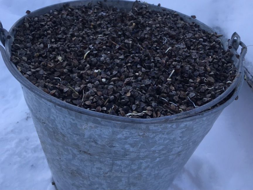 Корма для сельскохозяйственных животных