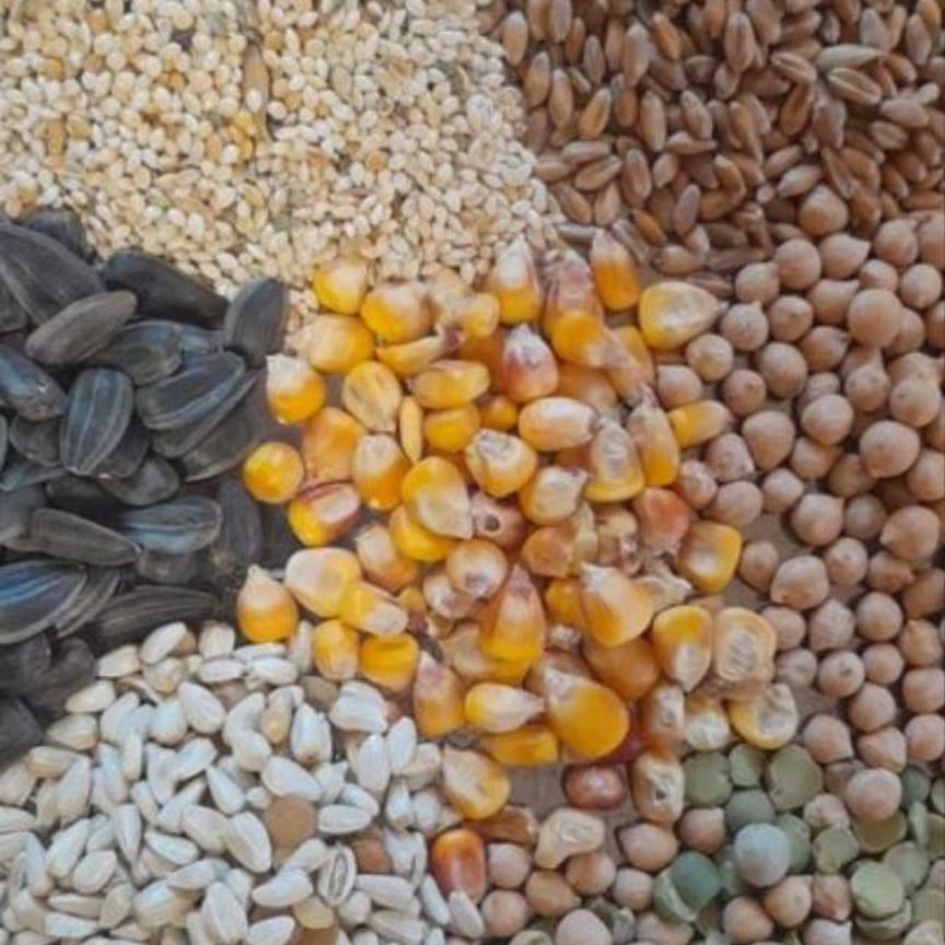 Корм для птиц.Комбикорм. зерносмесь дробленая