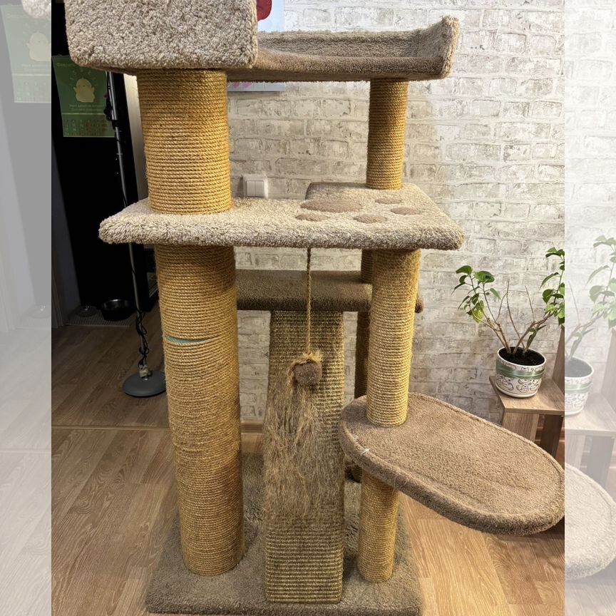 Когтеточка для кошек бу