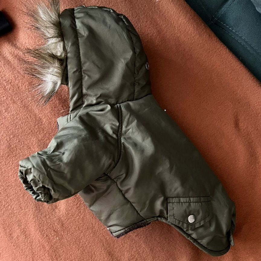 Одежда для собак