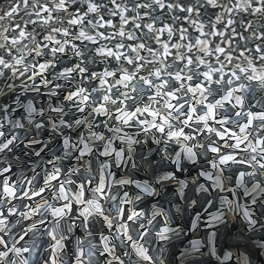 Шелуха подсолнечника