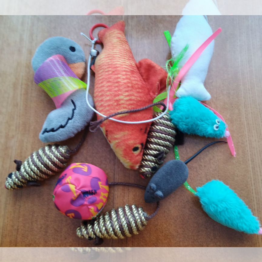 Игрушки для кошки