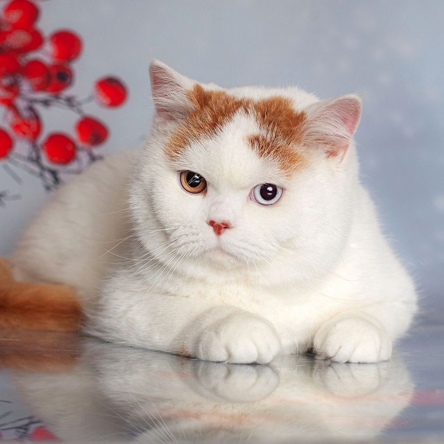 Мальчик 7 мес