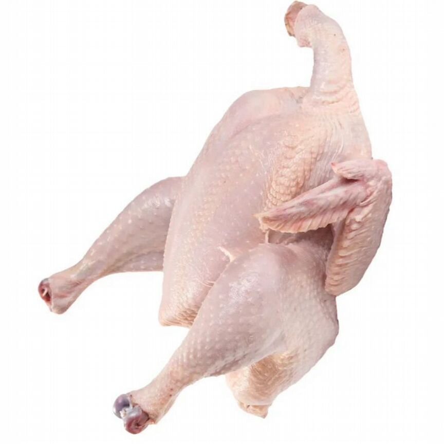 Домашние куры суповые