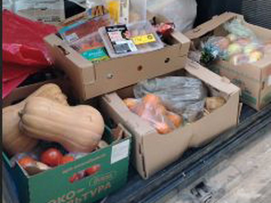 Гастрономия для животных