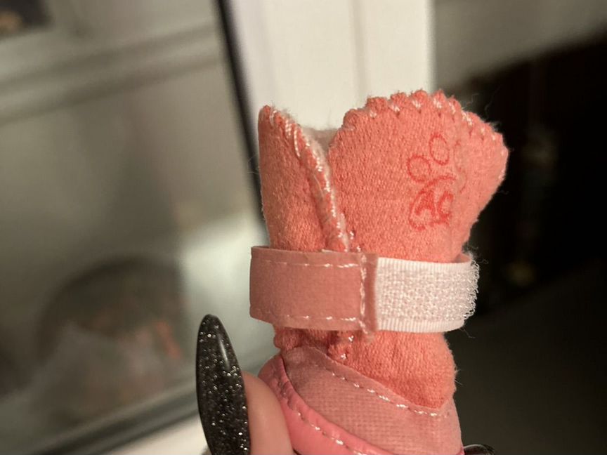 Сапоги для собаки