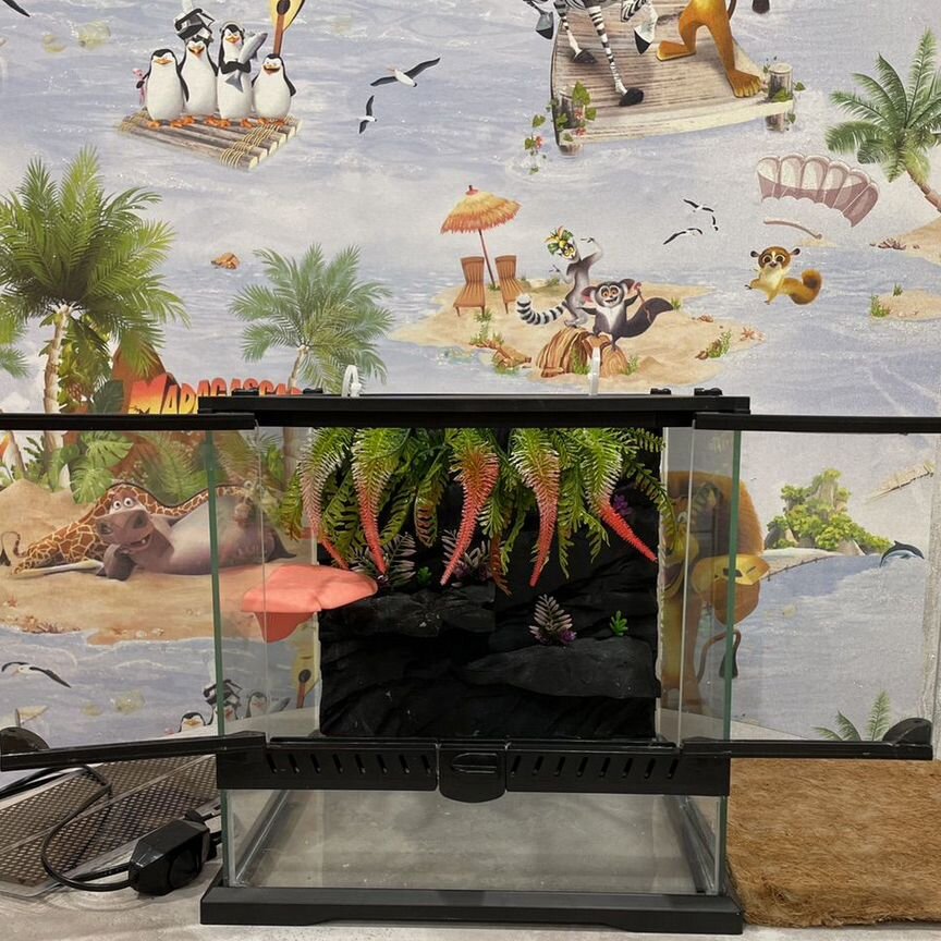 Террариум для рептилий 30х30х30