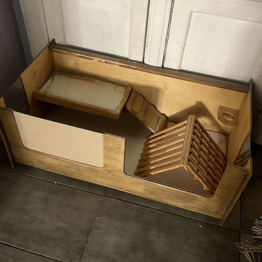 Витрина для морских свинок