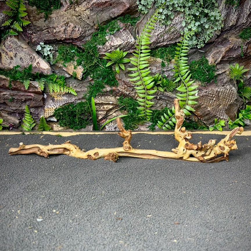 Коралловое дерево/Coral Wood кд1169