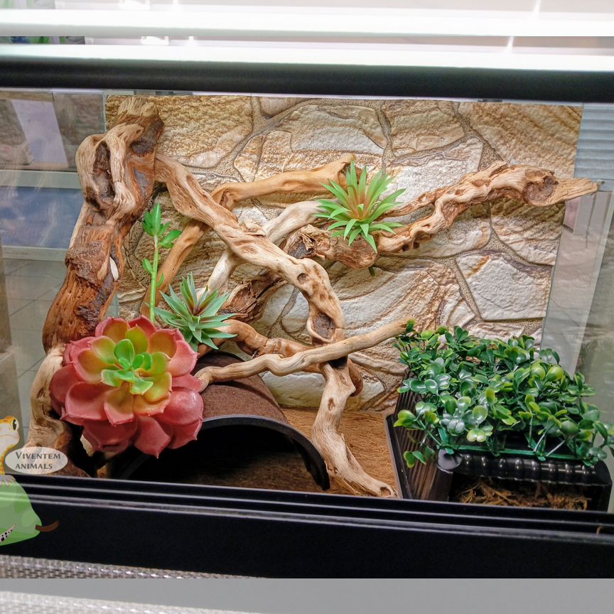 Террариум для эублефара "Пустыня стандарт"