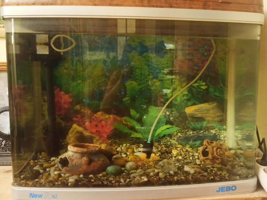 Аквариум Jebo 362, грунт, декор, помпа