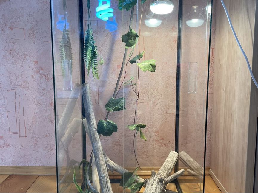 Террариум для хамелеона