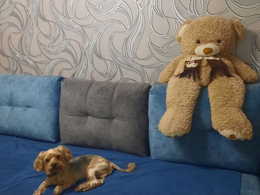 Отдам в добрые руки