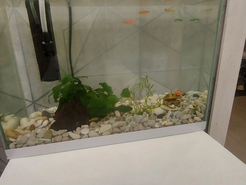 Аквариум с рыбками бу