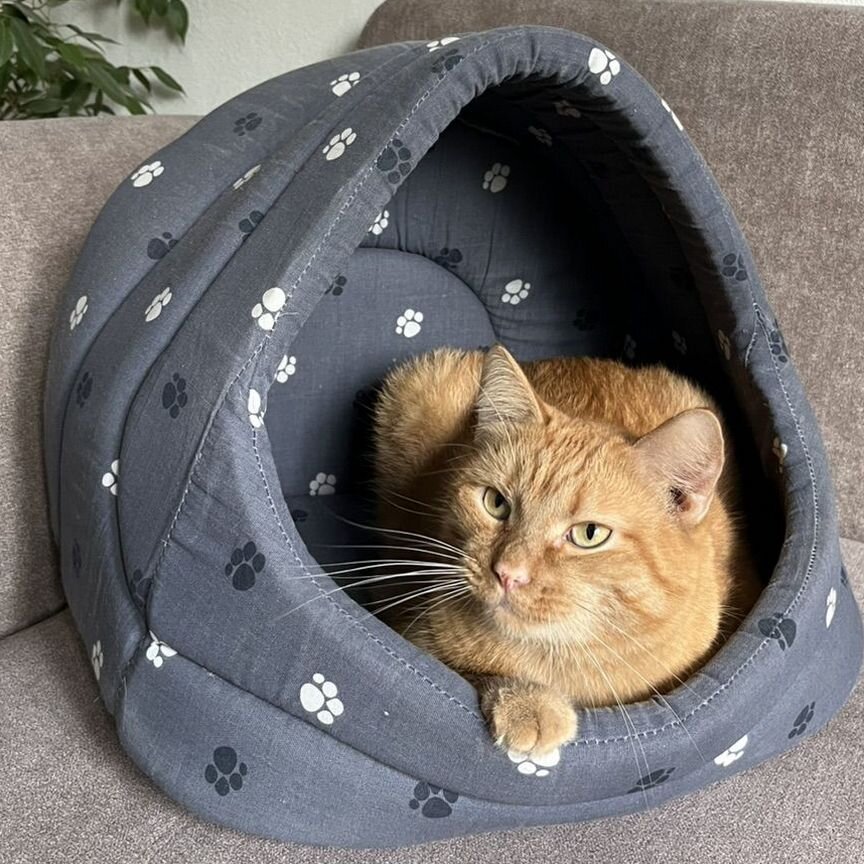 Кошачий домик синего джинсового цвета
