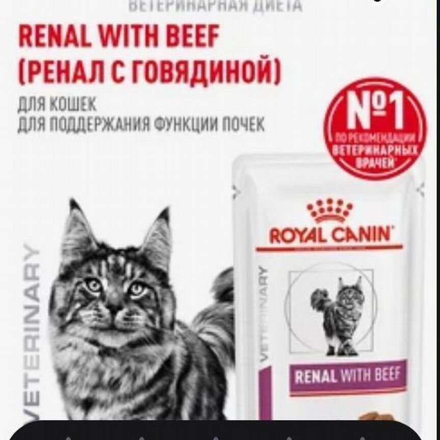 Влажный корм для кошек royal canin renal
