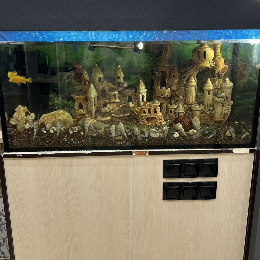 Аквариум 200 литров с тумбой рыбками и декором