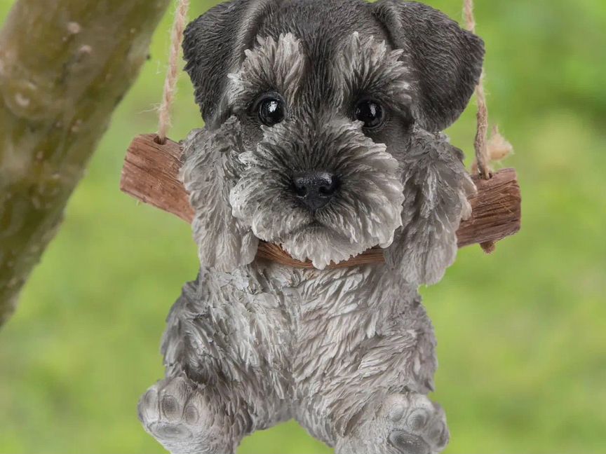 Цвергшнауцер щенки