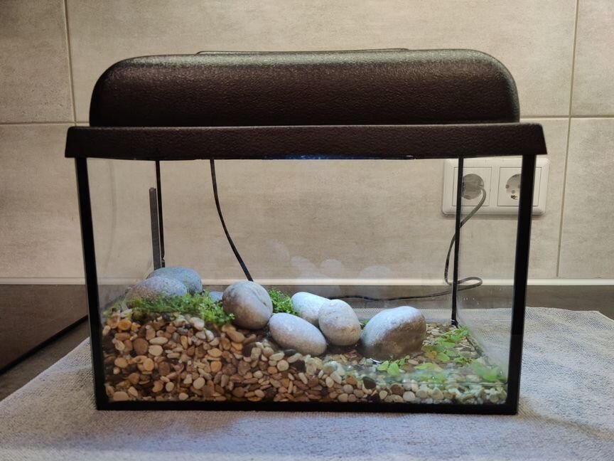 Аквариум AquaGold 10л с крабом