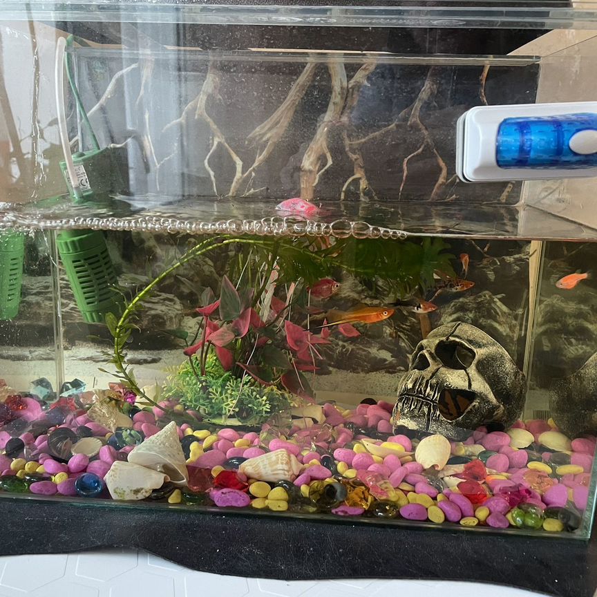 Аквариум 30 литров