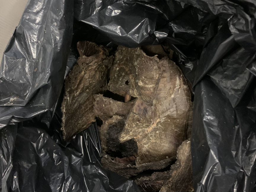 Сушеные лакомства для собак опт и розница