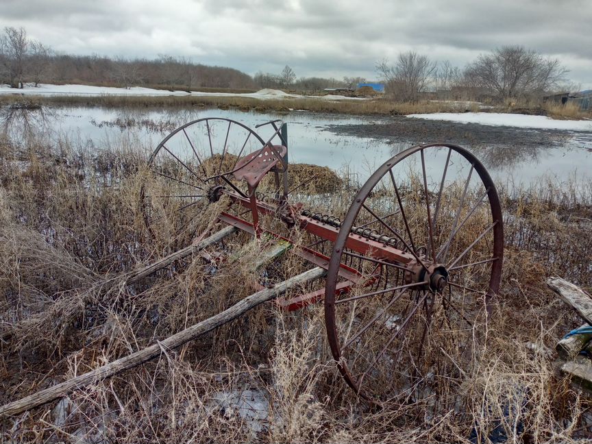 Грабли конские