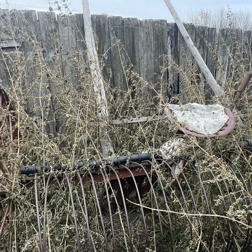 Конные грабли