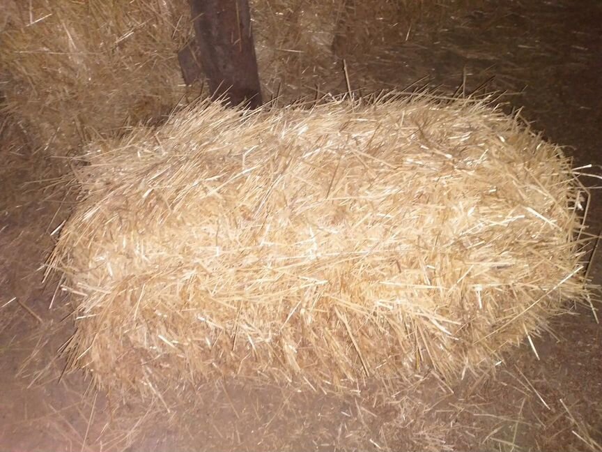 Солома ячменка в тюках и сено