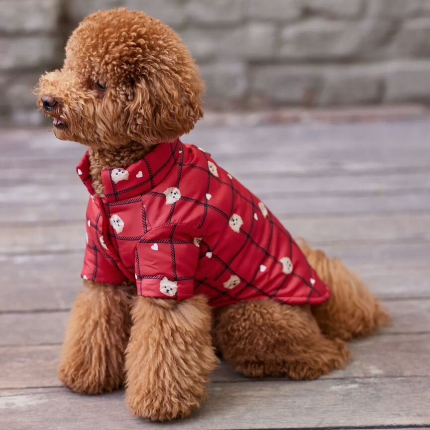 Костюм/жилет зимний для собачки красный M теплый