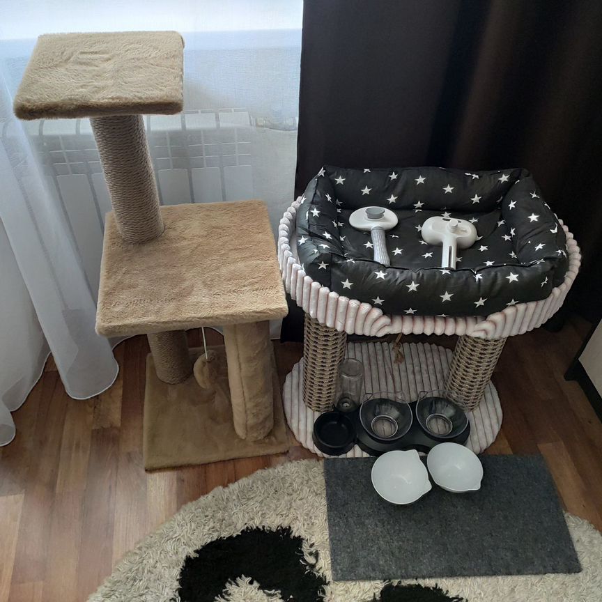 Когтеточка, лежанка, набор мисок