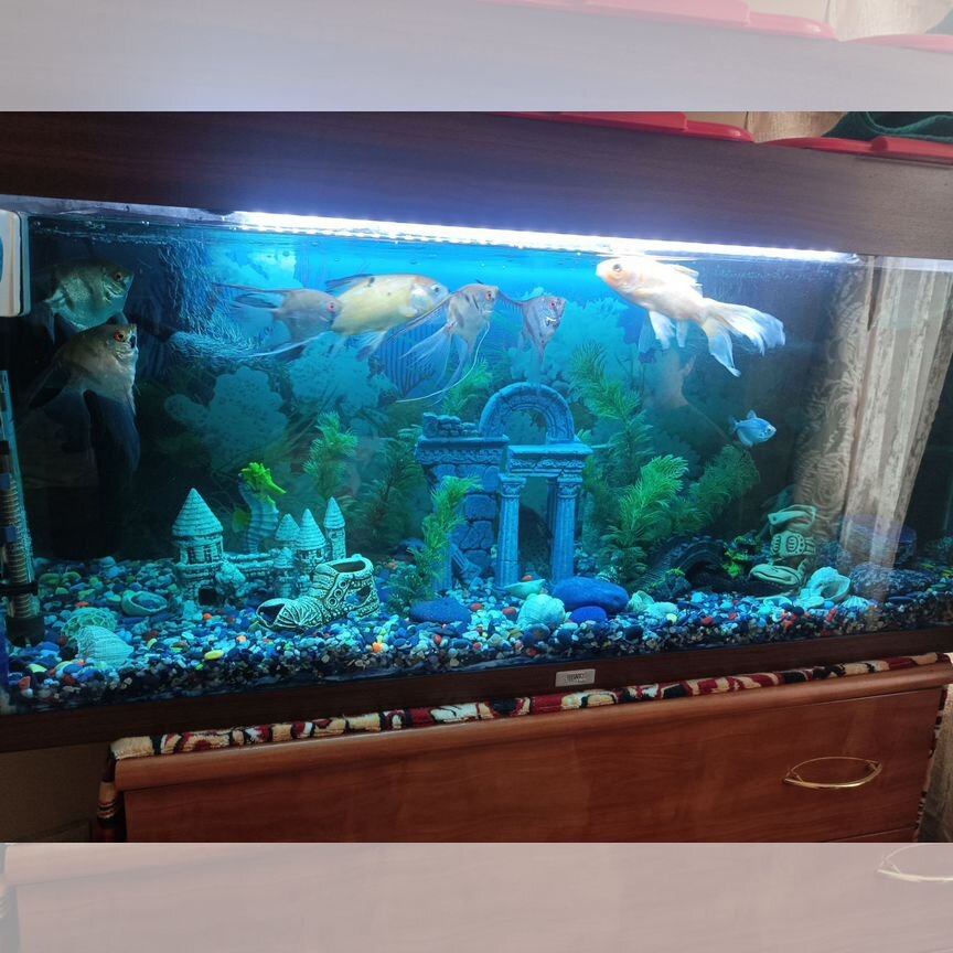 Украшения для аквариума