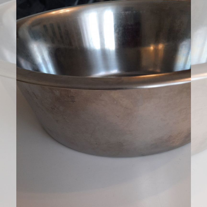 Миски металлические и диетолог для большой собаки