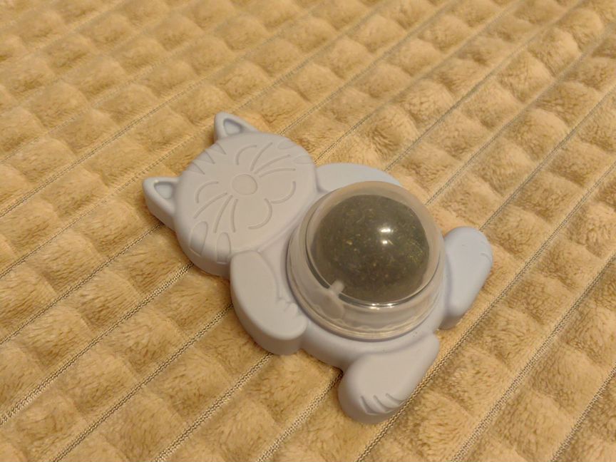 Кошачья мята