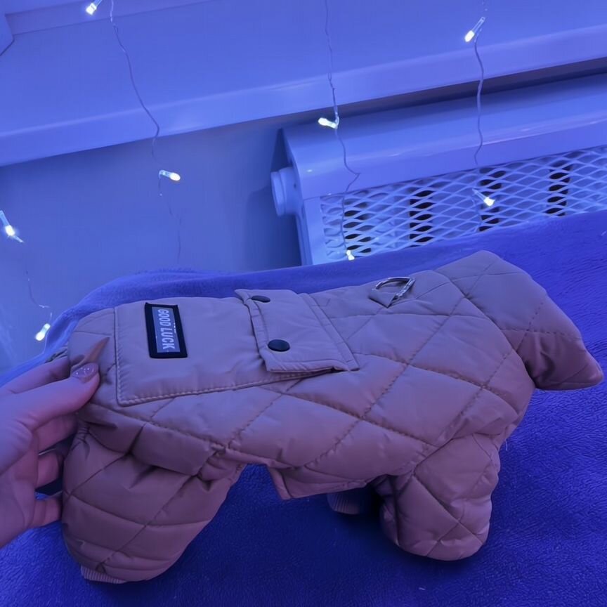 Одежда для собак мелких пород