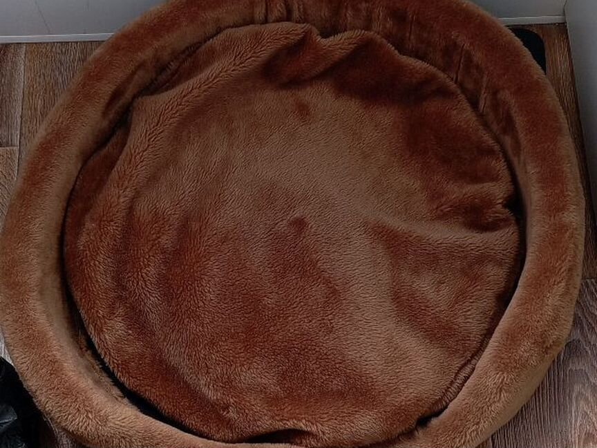 Собачья конура