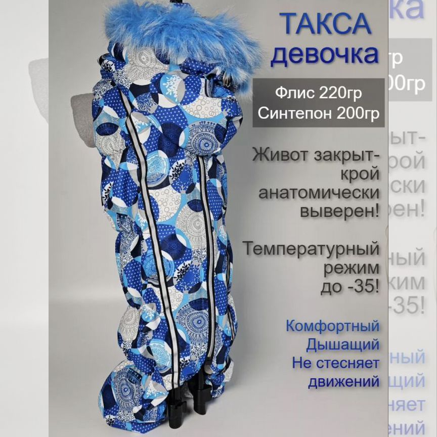 Комбинезон для таксы девочки